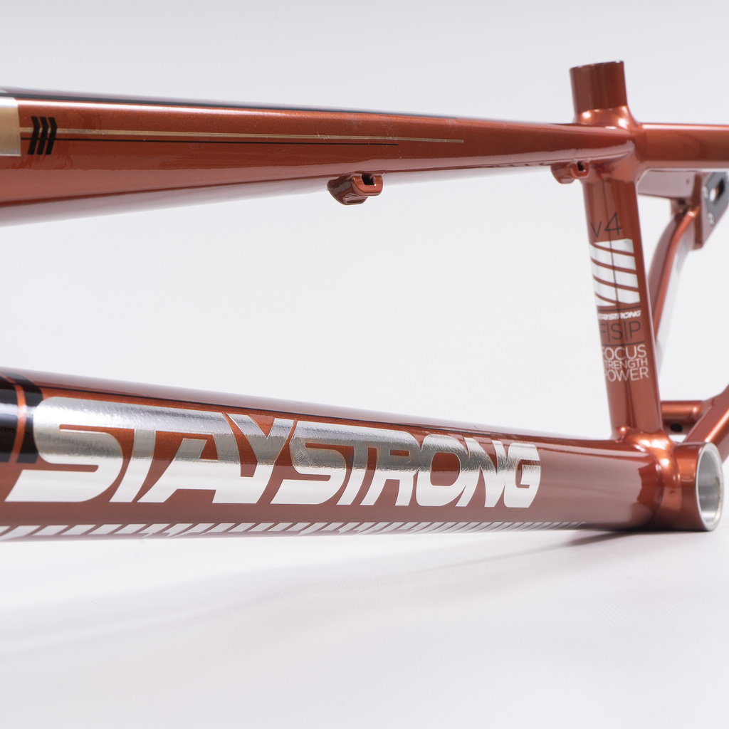 Staystrong V4 Frame Expert (Copper) Disc Only