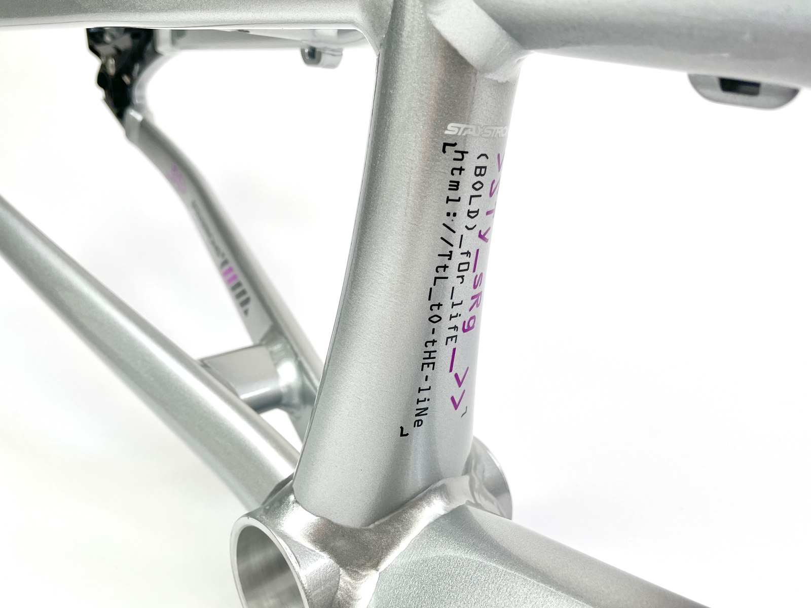 Staystrong Pro XXL Cruiser Frame V5 Disc (Chameleon-Silver)