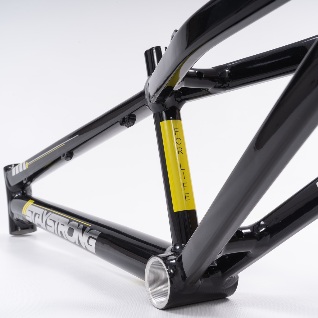 Staystrong V4 Frame Expert-XL (Gloss Black) Disc Only