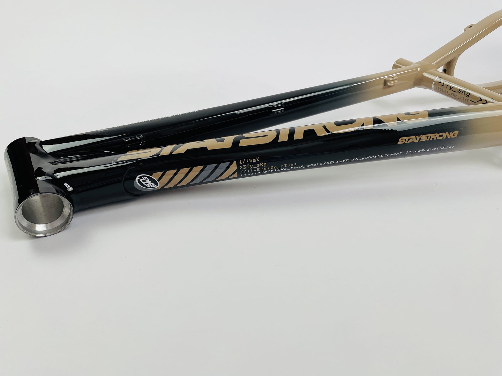 Staystrong Expert Frame V5 Disc (Black-Tan)