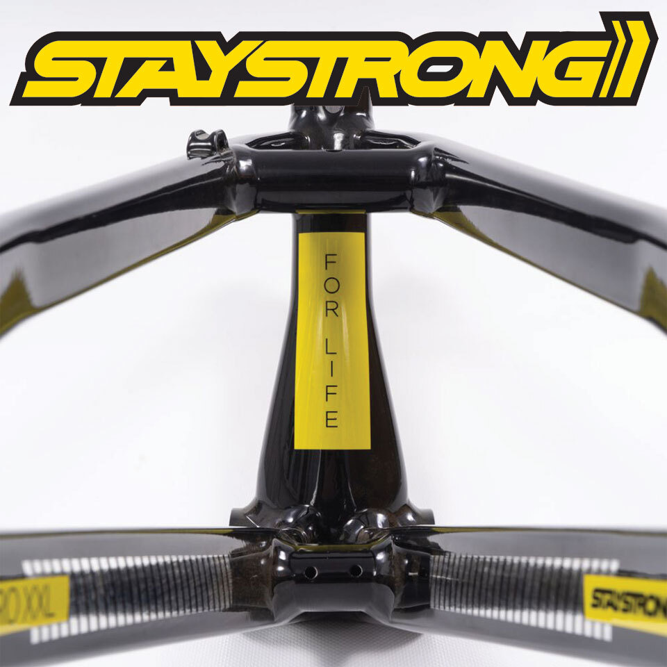 Staystrong V4 Frame Pro-XXL Cruiser (Gloss Black) Disc Only ...